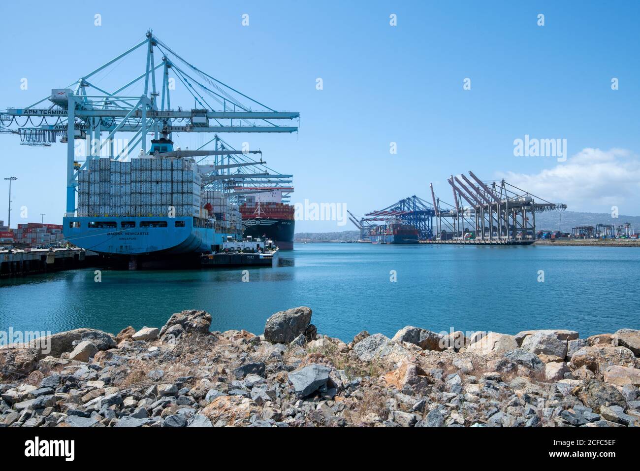 Container and cargo ships Port of Los Angeles and Long Beach 2020 Stock ...