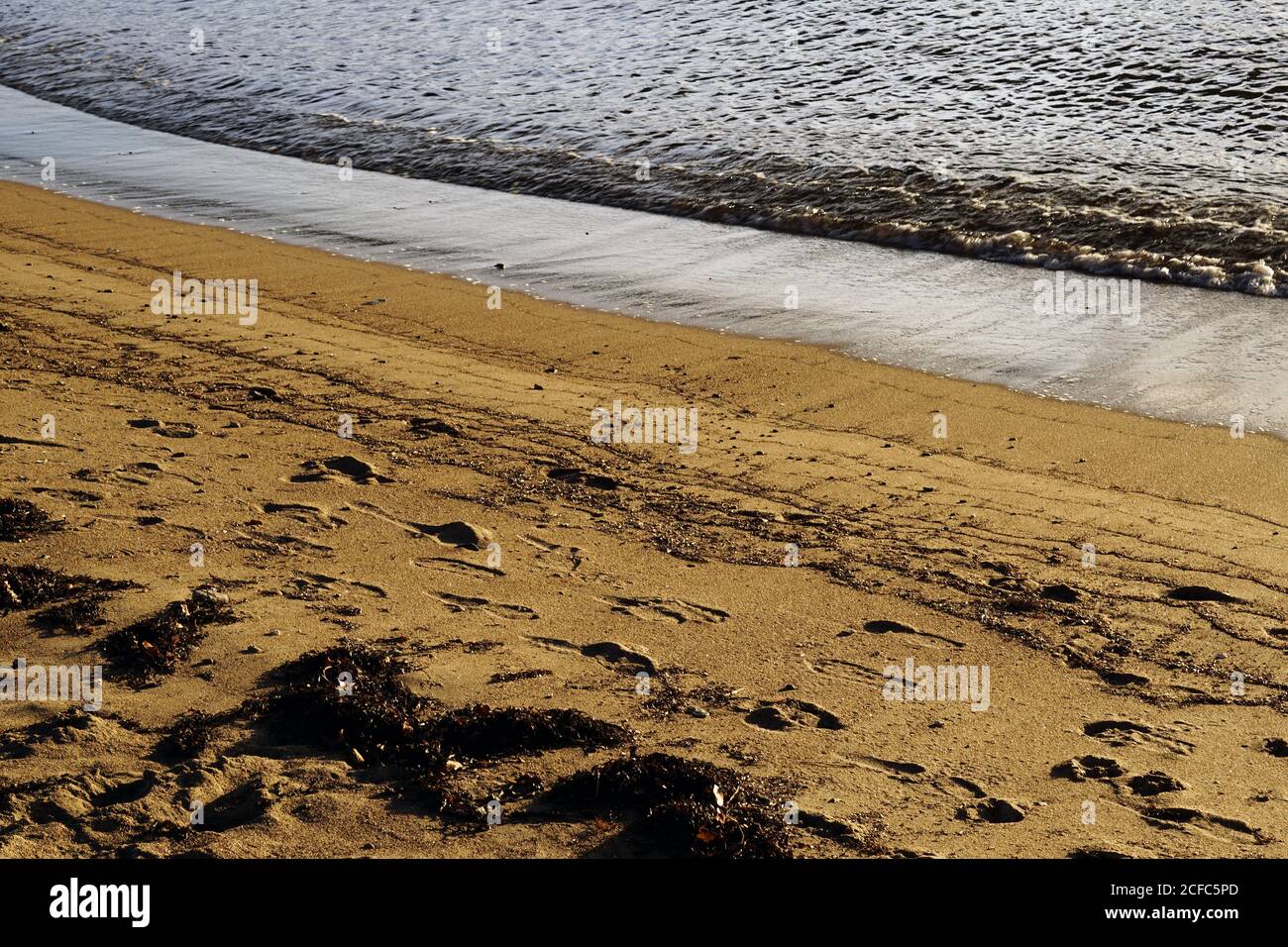 Sunny and humid hi-res stock photography and images - Alamy