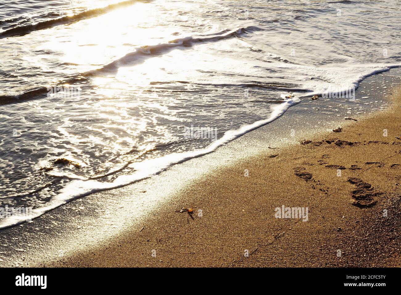 Sunny and humid hi-res stock photography and images - Alamy