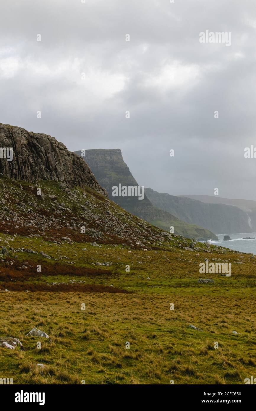 Moss in scotland hi-res stock photography and images - Alamy