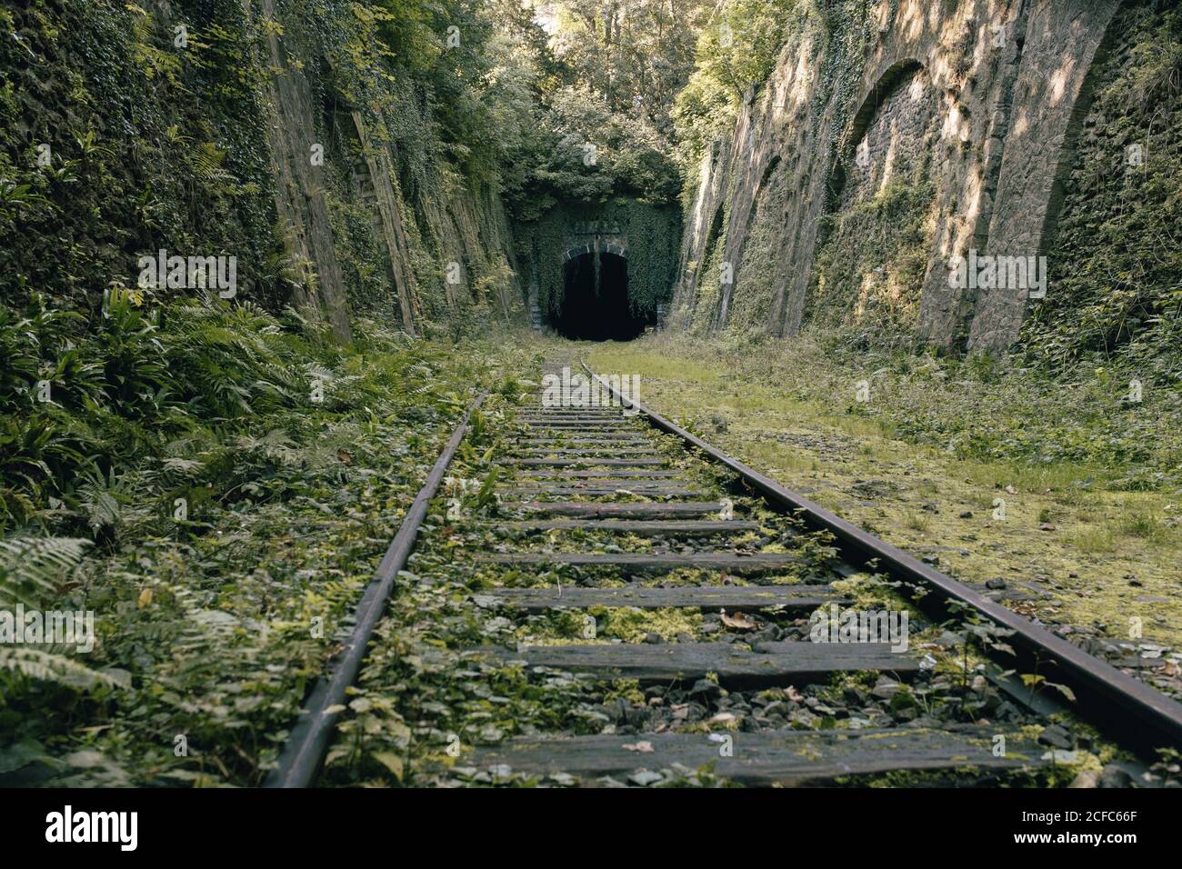 Abandoned overgrown aged railway Stock Photo - Alamy
