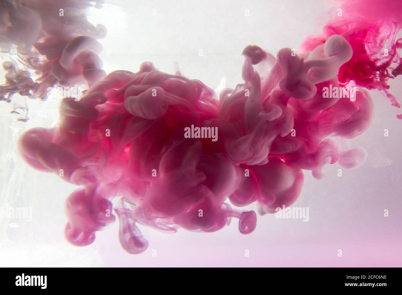 Throwing Powder Paint Throwing Powdered Paint High Resolution Stock ...