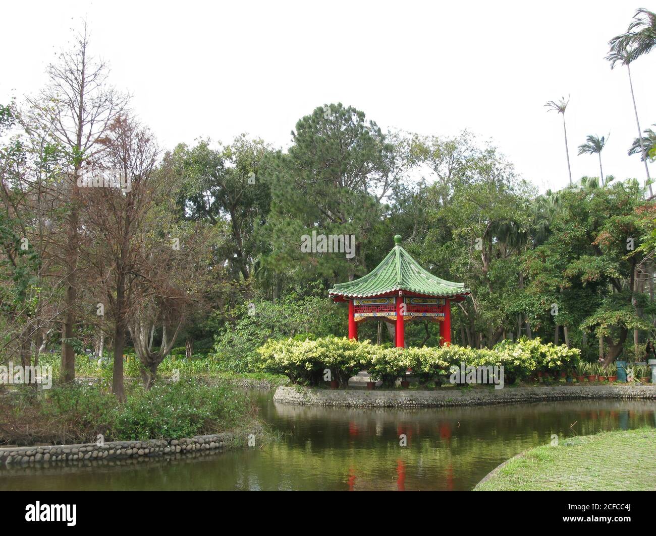 Nature landscape inside the Taipei Botanical Garden at Taipei, Taiwan ...