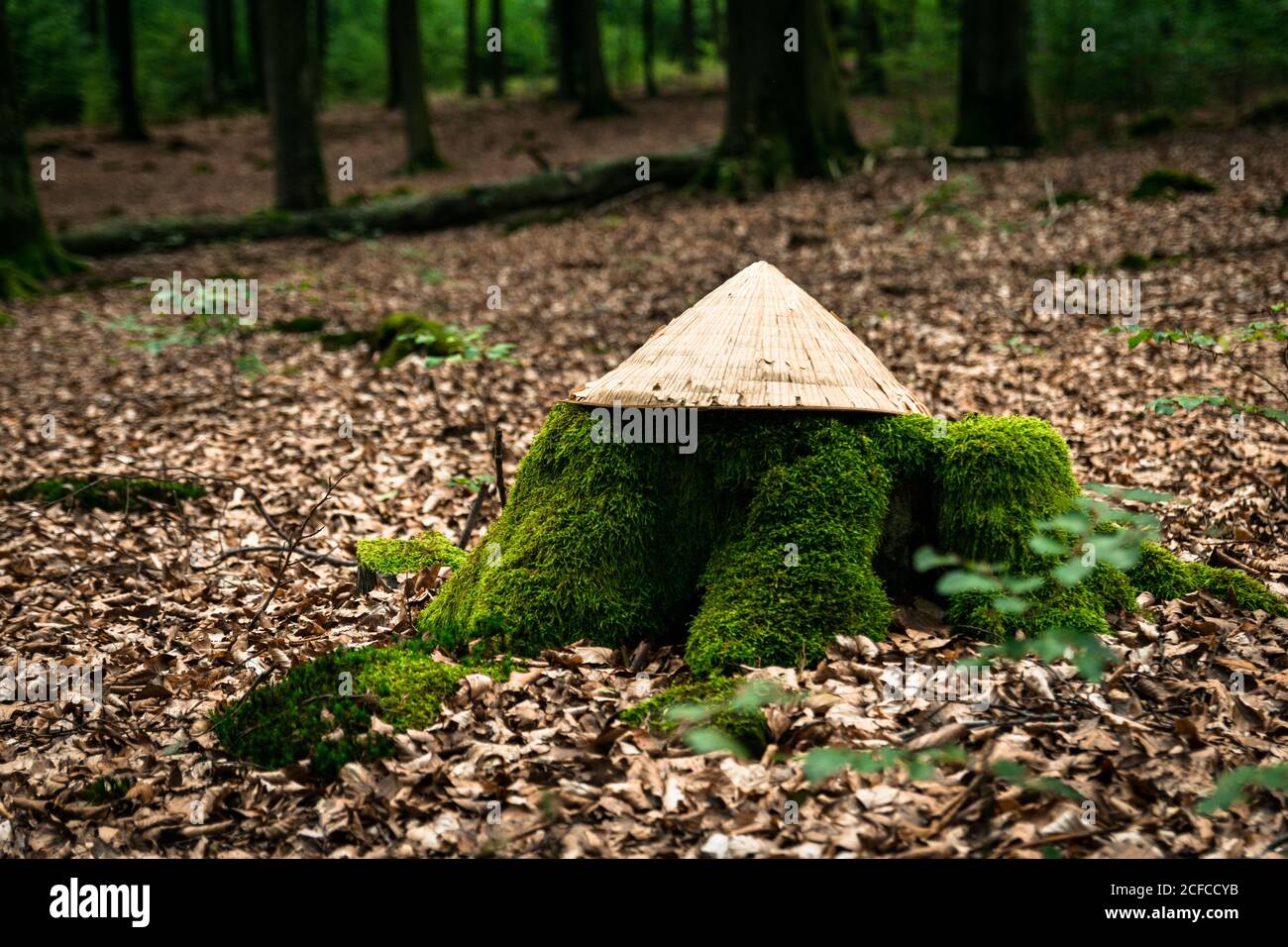 Asian conical hat hi-res stock photography and images - Alamy