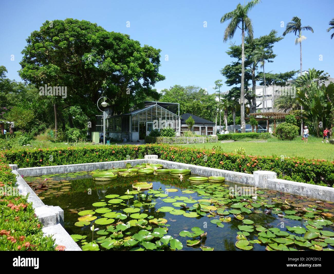 Taipei botanical garden greenhouse hi-res stock photography and images ...