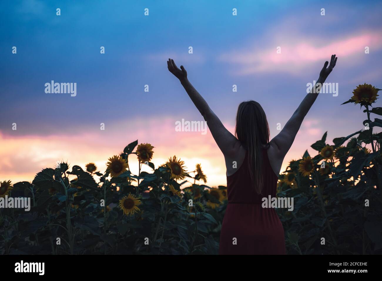 Woman arms raised rear view sky hi-res stock photography and images - Alamy