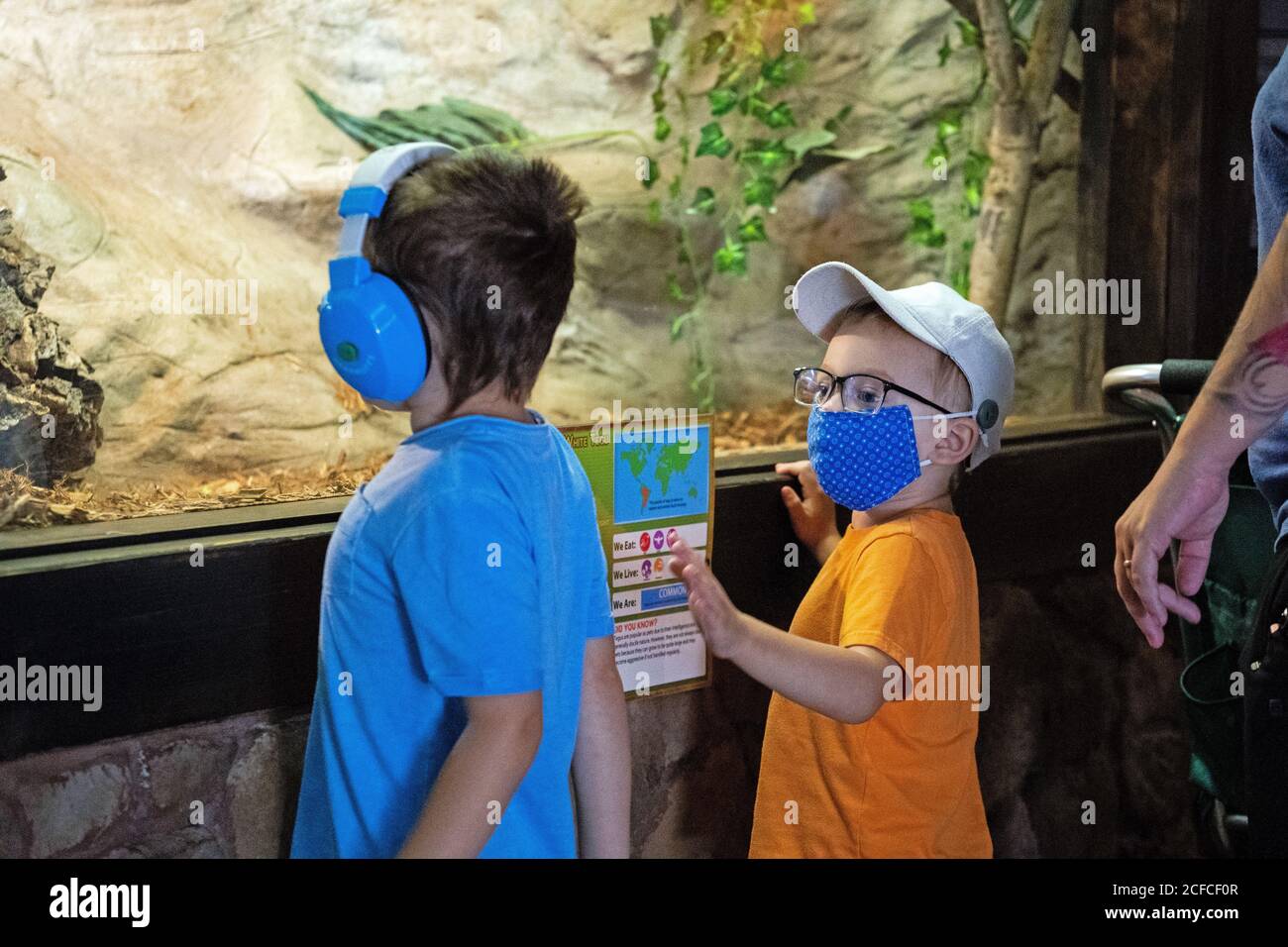 two boys at the zoo wearing face masks looking through the glass Stock ...