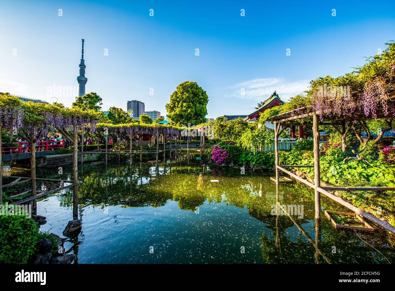Kameido Tenjin Shrine Stock Photo - Alamy