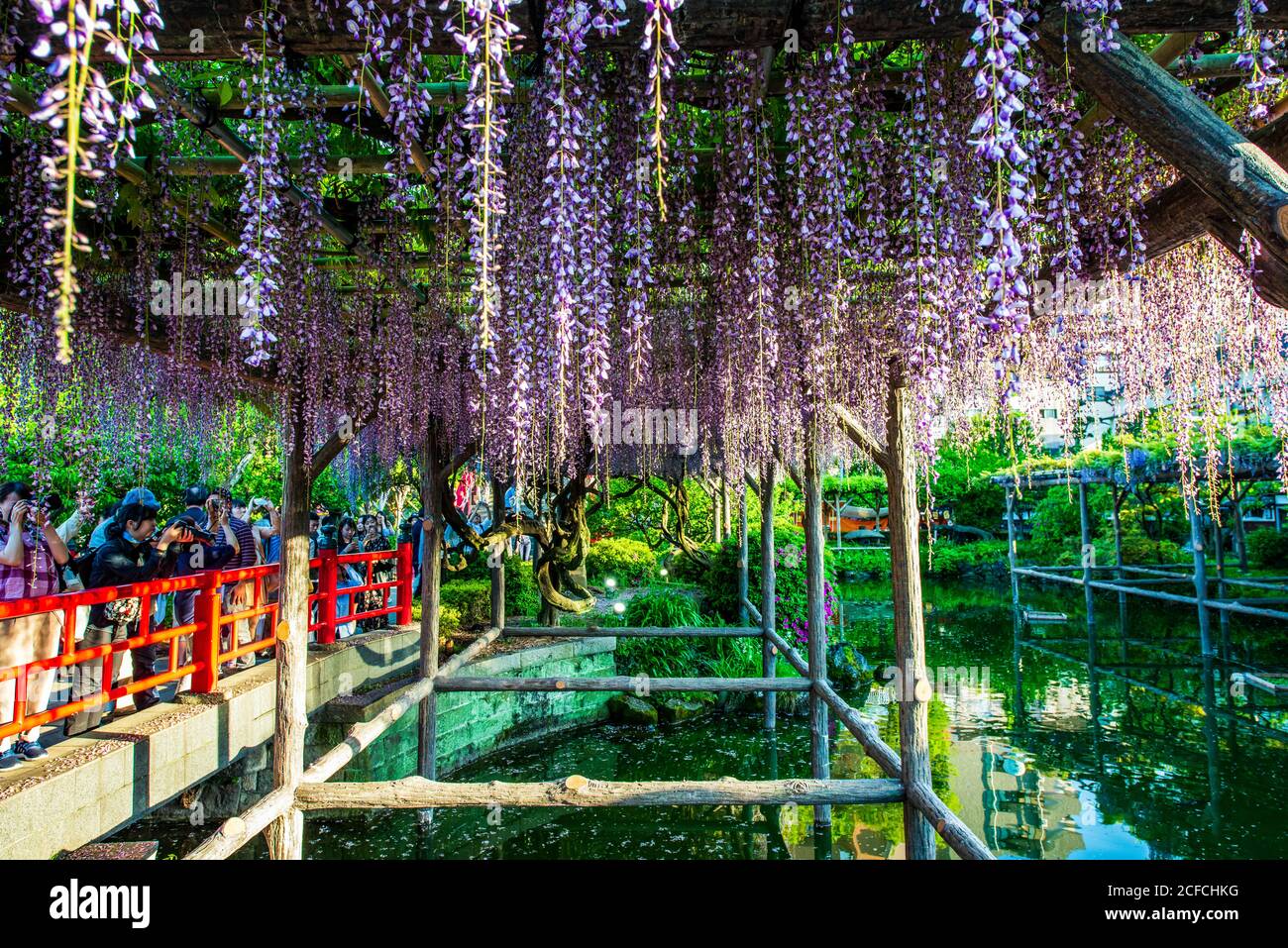 Kameido Tenjin Shrine Stock Photo - Alamy