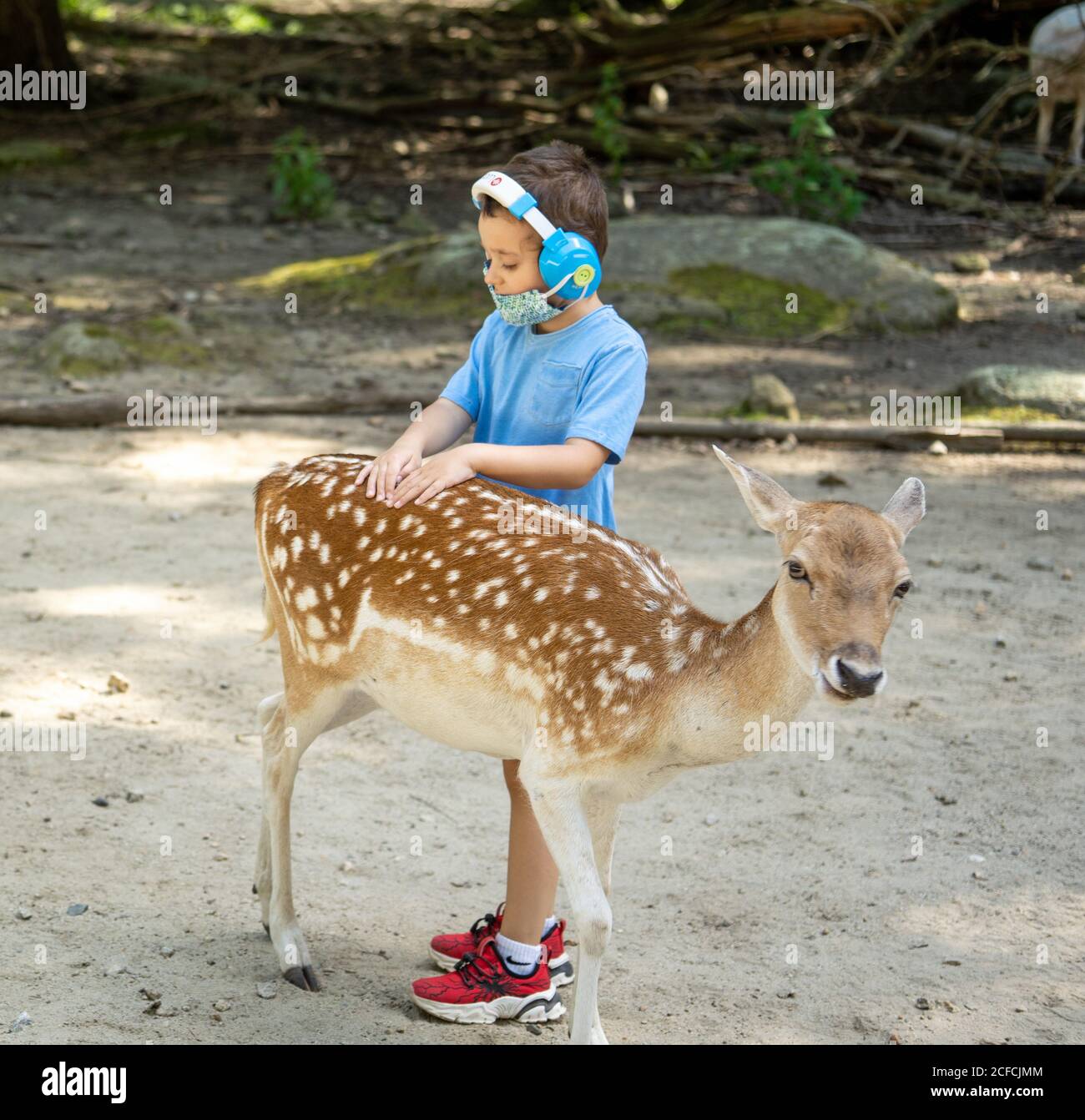 4 yo old autistic boy standing next to the deer, photo from behind ...
