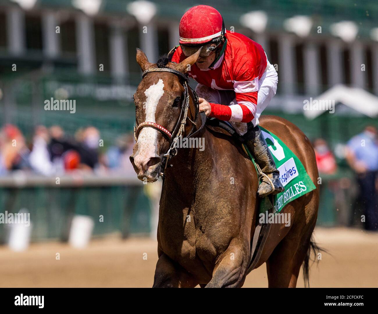 Eight belles horse hi-res stock photography and images - Alamy