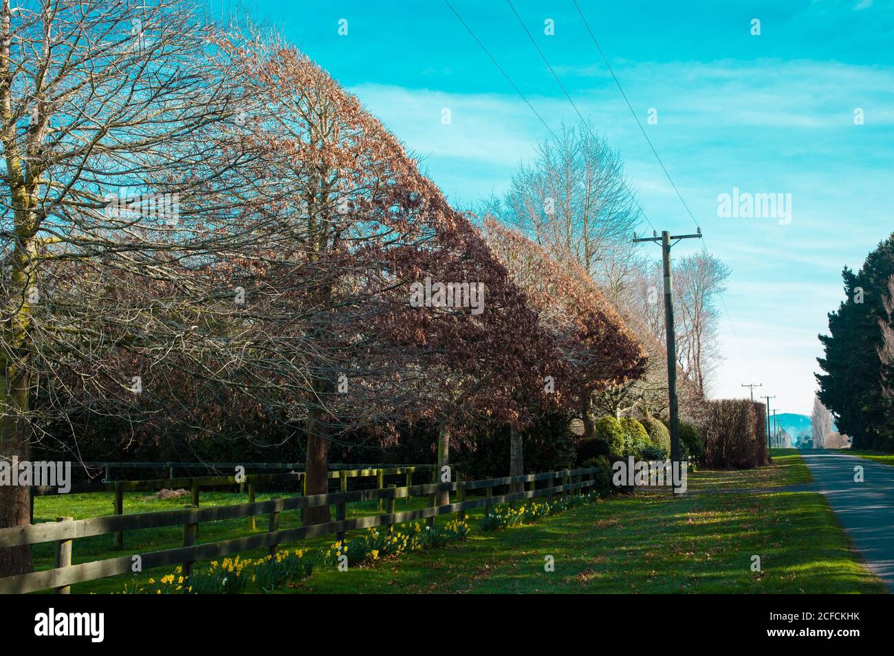 New Zealand Countryside, iconic kiwi scenes Stock Photo - Alamy
