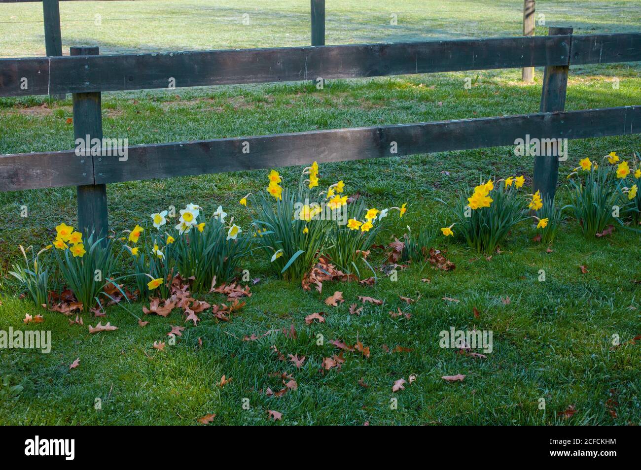 New Zealand Countryside, iconic kiwi scenes Stock Photo - Alamy