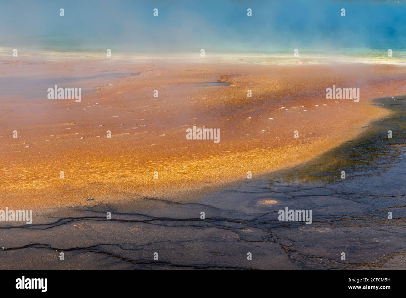 Bacteria and Mud Formations at the Grand Prismatic Spring, Yellowstone ...