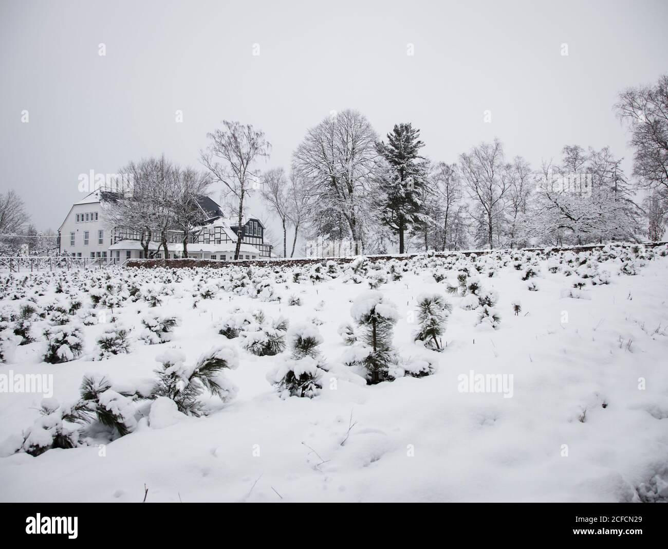 Big house hi-res stock photography and images - Alamy
