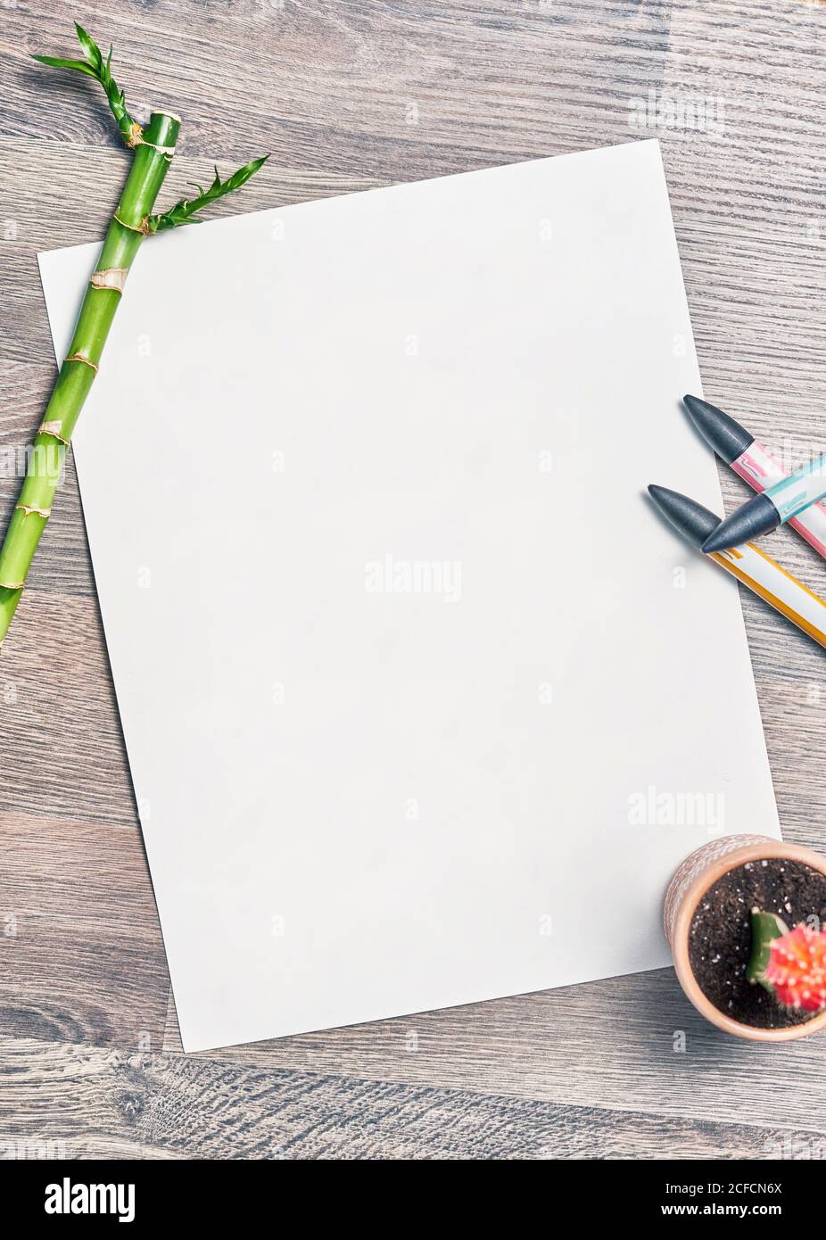 Blank a4 sheet flat hi-res stock photography and images - Alamy