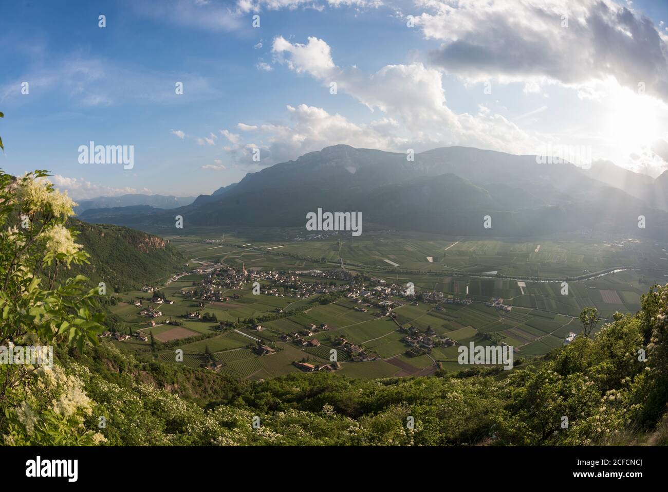 Wine village terlan hi-res stock photography and images - Alamy