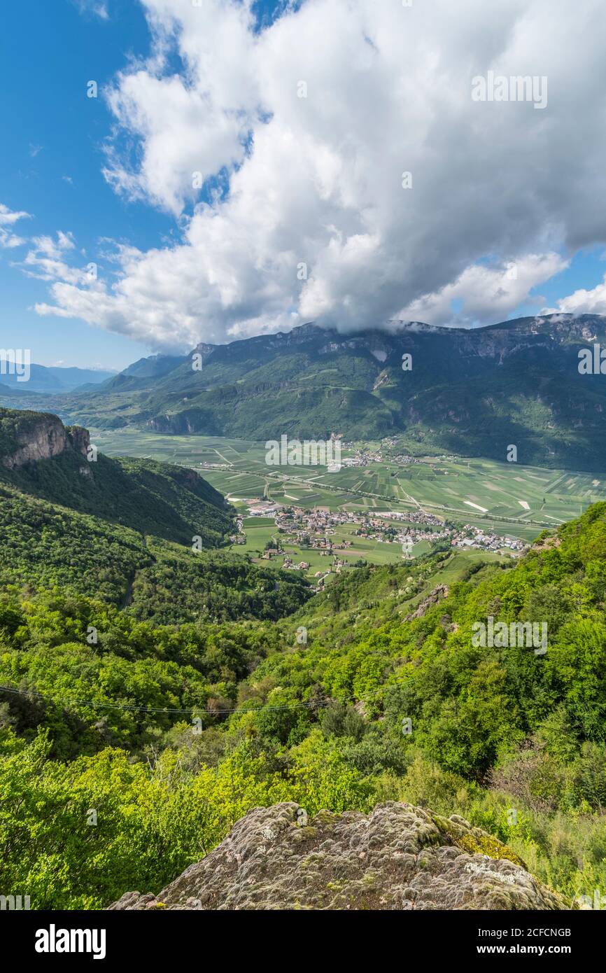Italy, Trentino-South Tyrol, Alto Adige, Alto Adige, Etschtal, Terlan ...