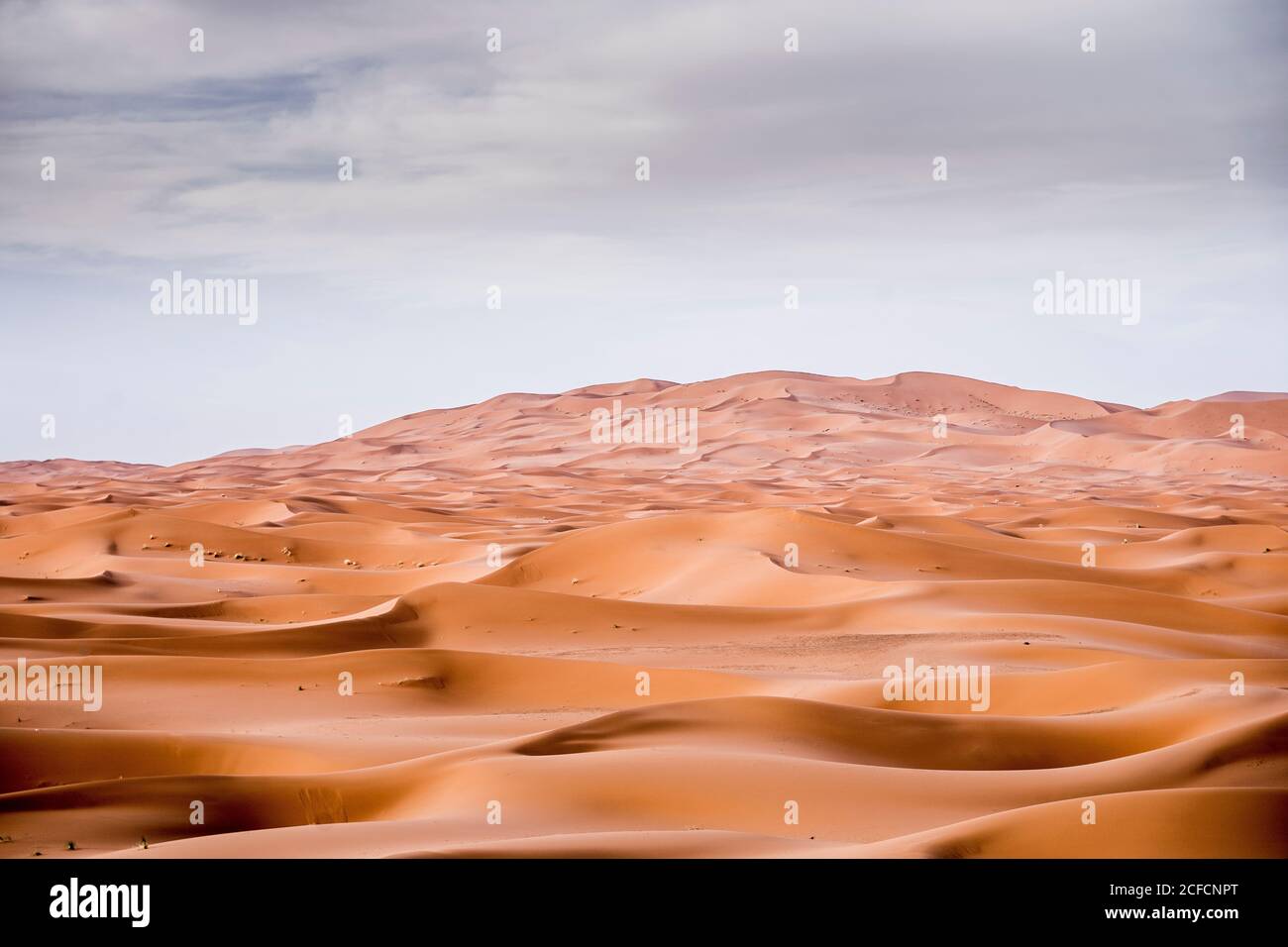 Desert sand hills hi-res stock photography and images - Alamy