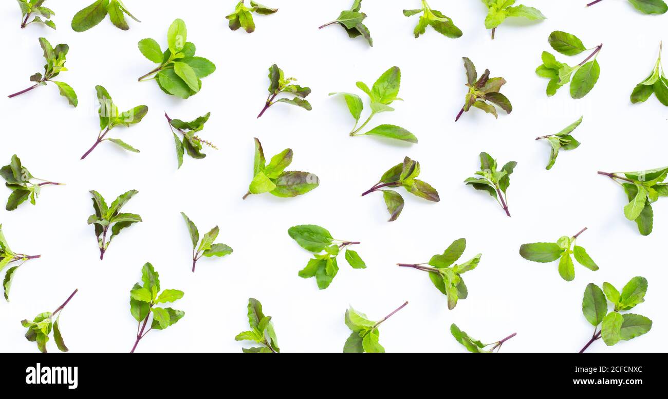 Fresh holy basil leaves on white background. Top view Stock Photo - Alamy
