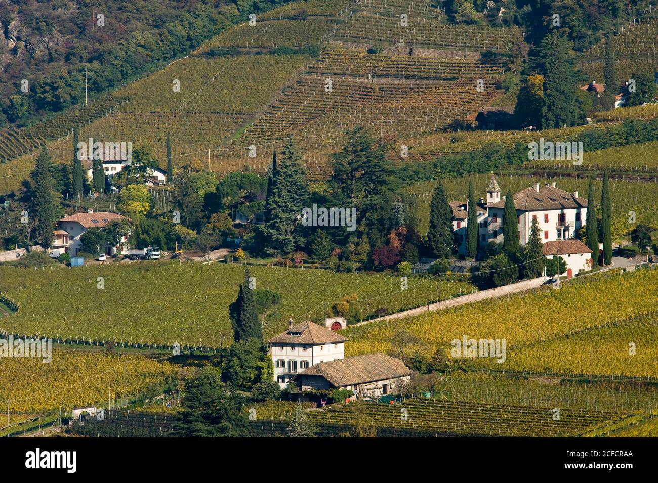 Italy, Trentino-Alto Adige, South Tyrol, Alto Adige, Terlan / Terlano ...