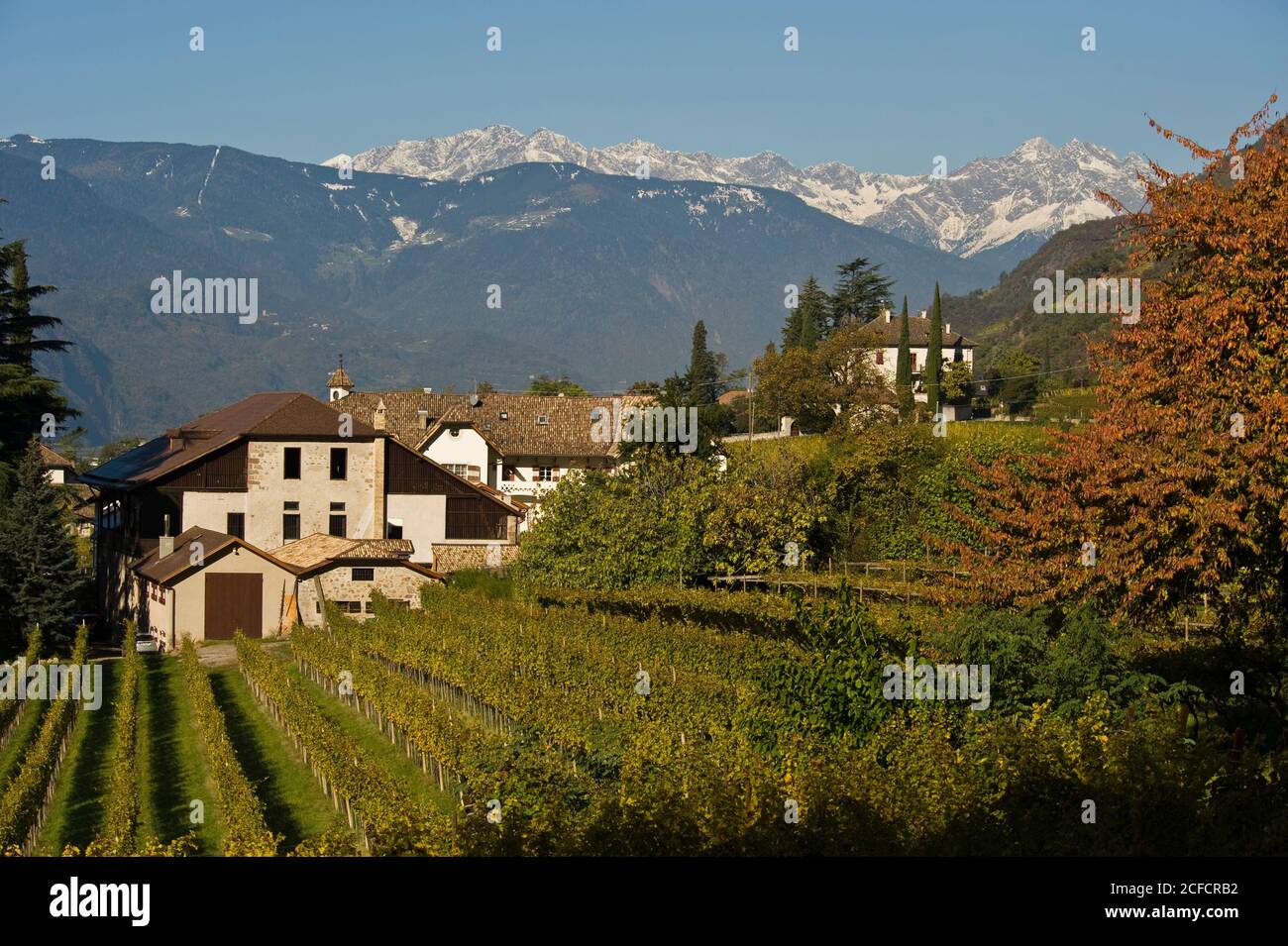 Italy, Trentino-Alto Adige, South Tyrol, Alto Adige, Terlan / Terlano ...