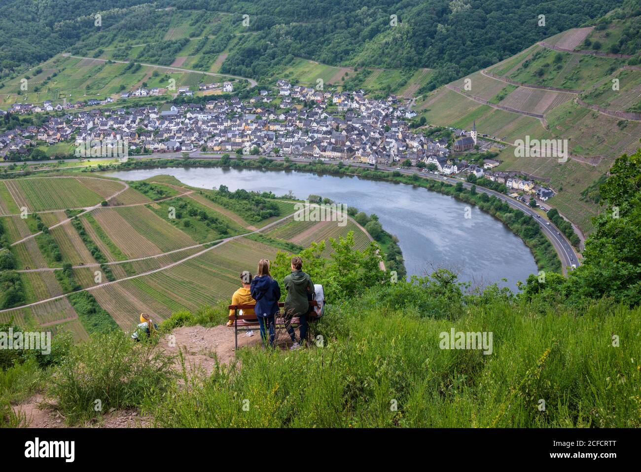 Europe, Germany, Rhineland-Palatinate, district of Cochem-Zell Mosel ...
