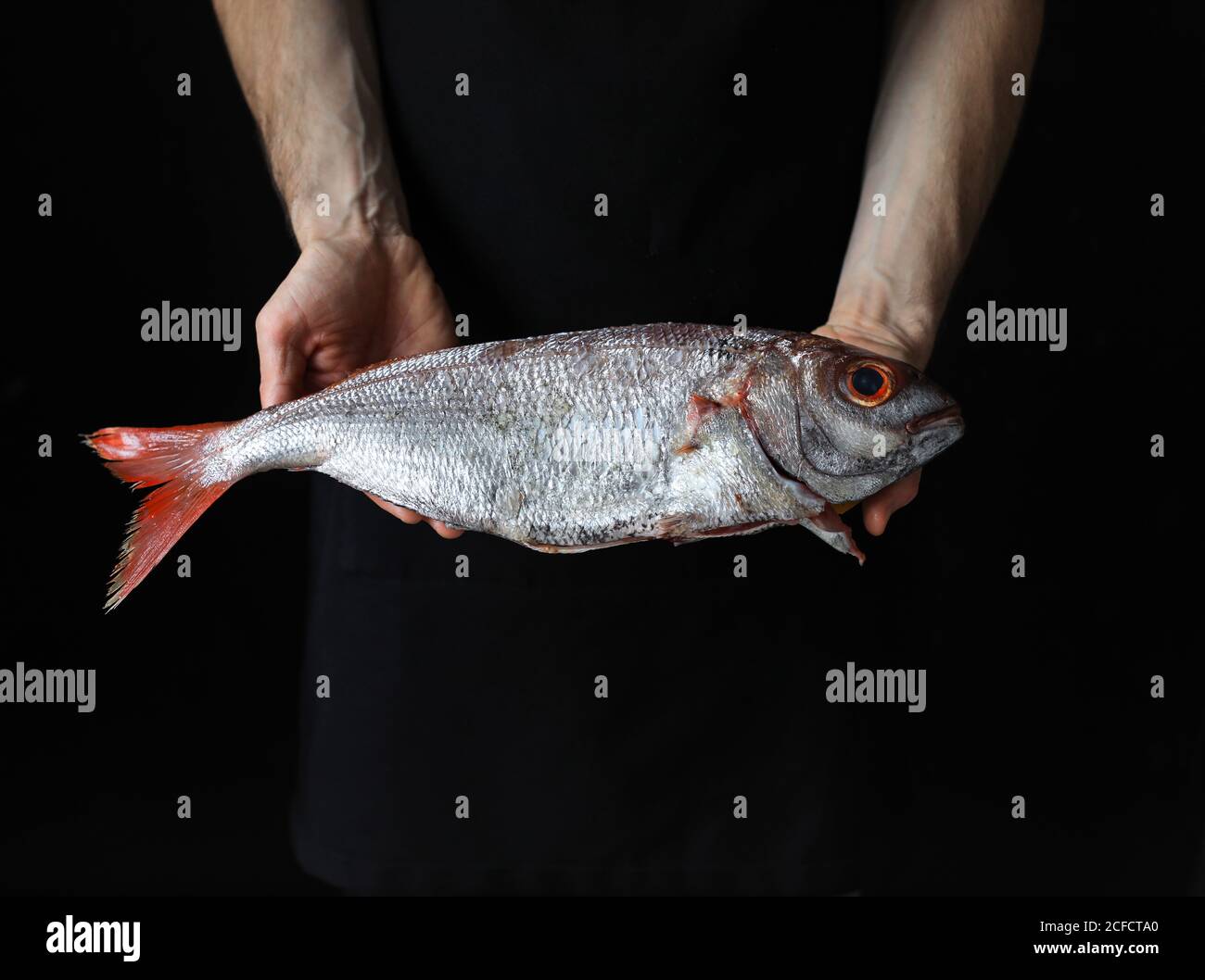 Big fresh scale fish with red eye and tail in hands Stock Photo - Alamy
