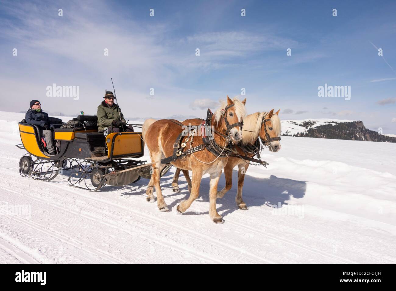 Italy, South Tyrol, Trentino Alto Adige, Dolomites, Seiser Alm, Alpe di ...