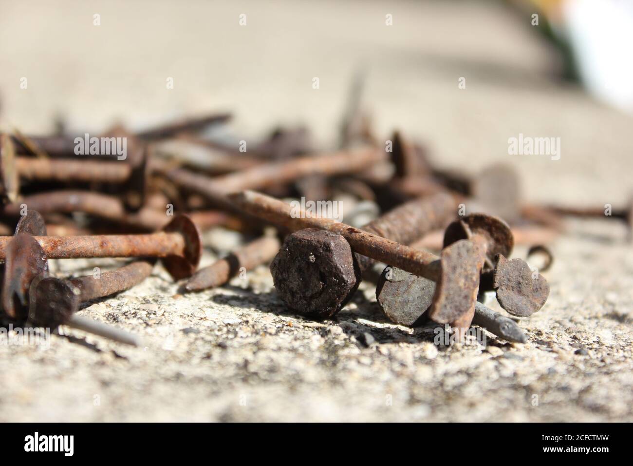 Rusty, pointy, and potentially painful nails laying on the ground Stock ...