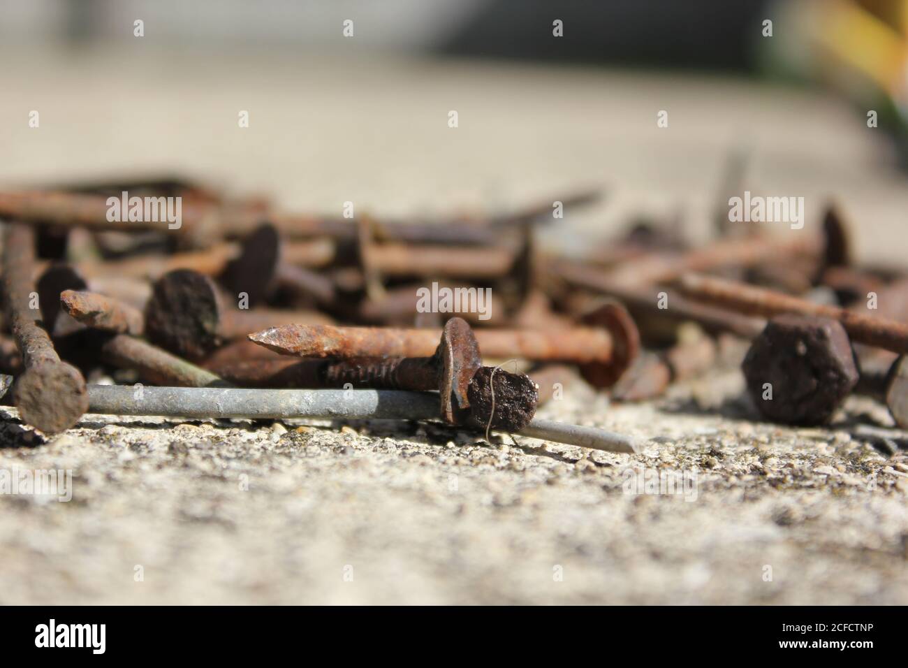 Rusty, pointy, and potentially painful nails laying on the ground Stock ...