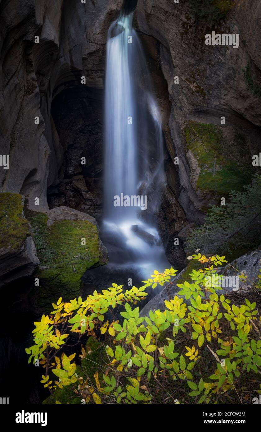 Picturesque scenery with waterfall falling in rocky ravine covered with ...