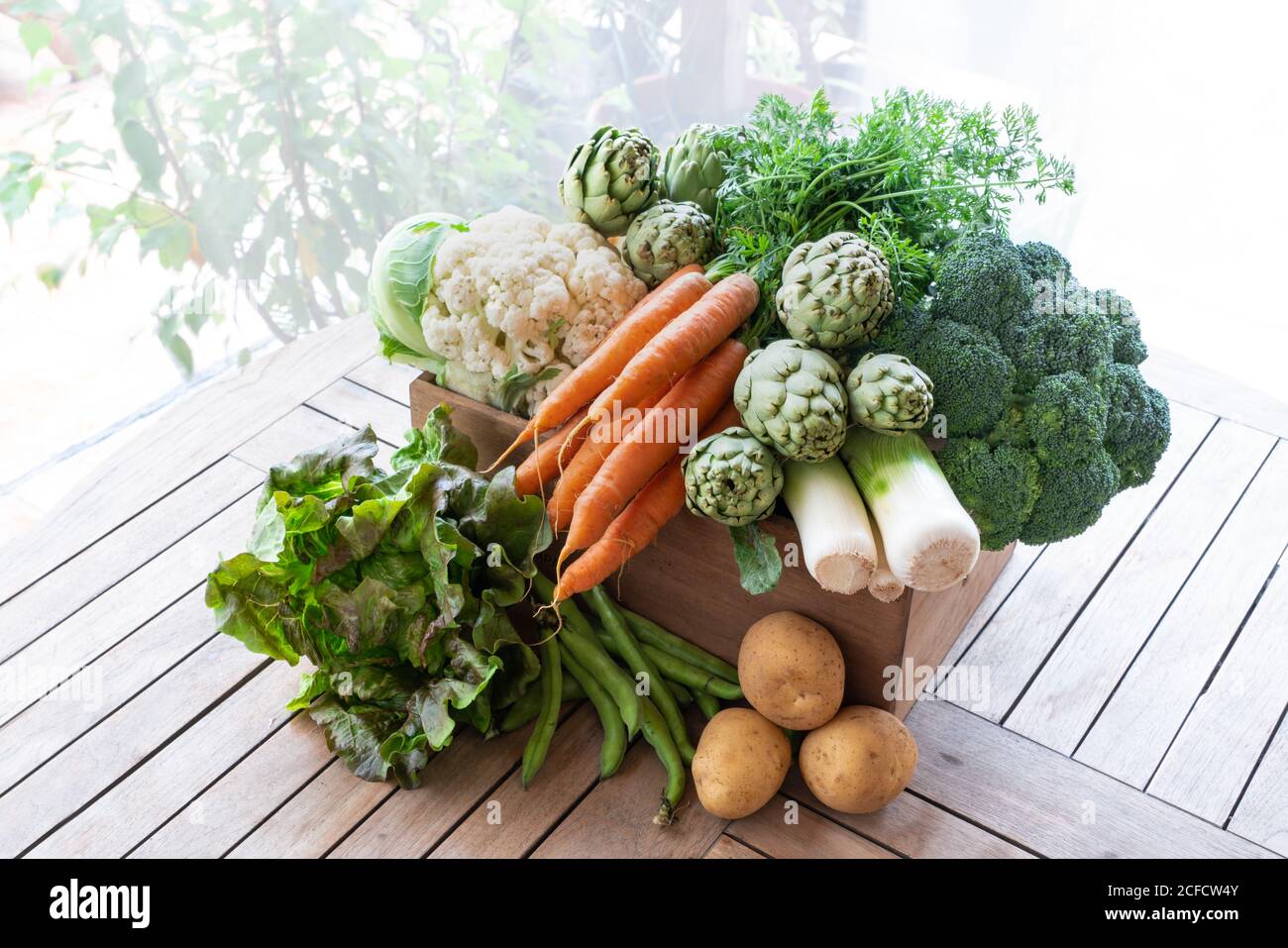 From above of harvest of various ripe vegetables placed in wooden box ...