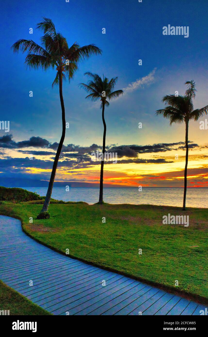 Palm trees in the distance hi-res stock photography and images - Alamy