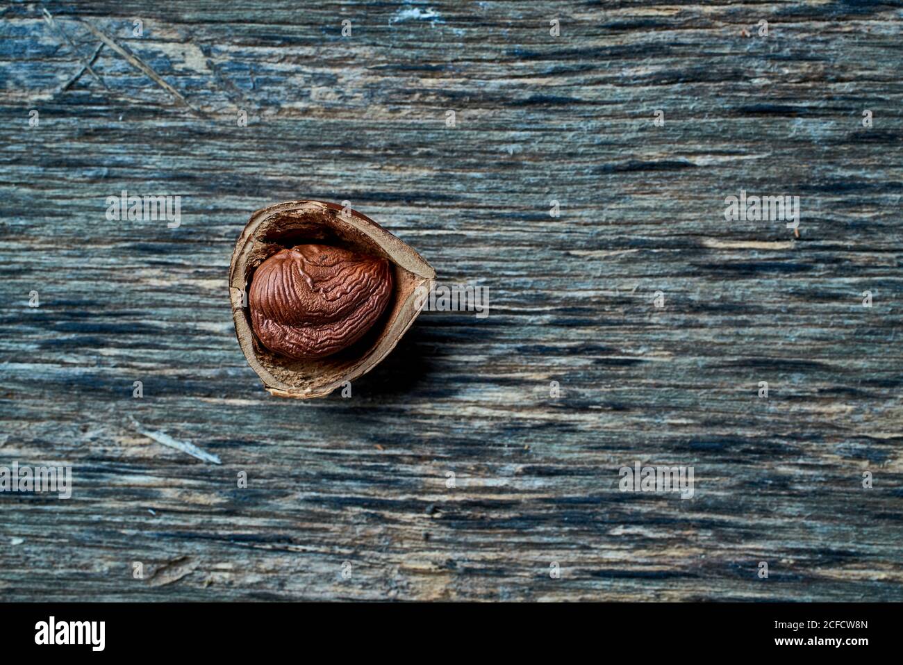 Hazelnut variety hi-res stock photography and images - Alamy