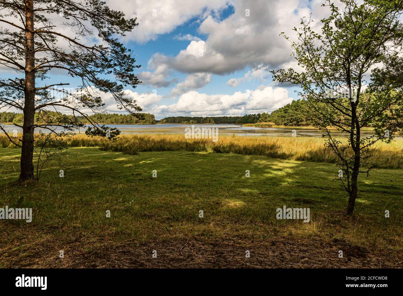 Wide view of the archipelago landscape framed by trees hi-res stock ...
