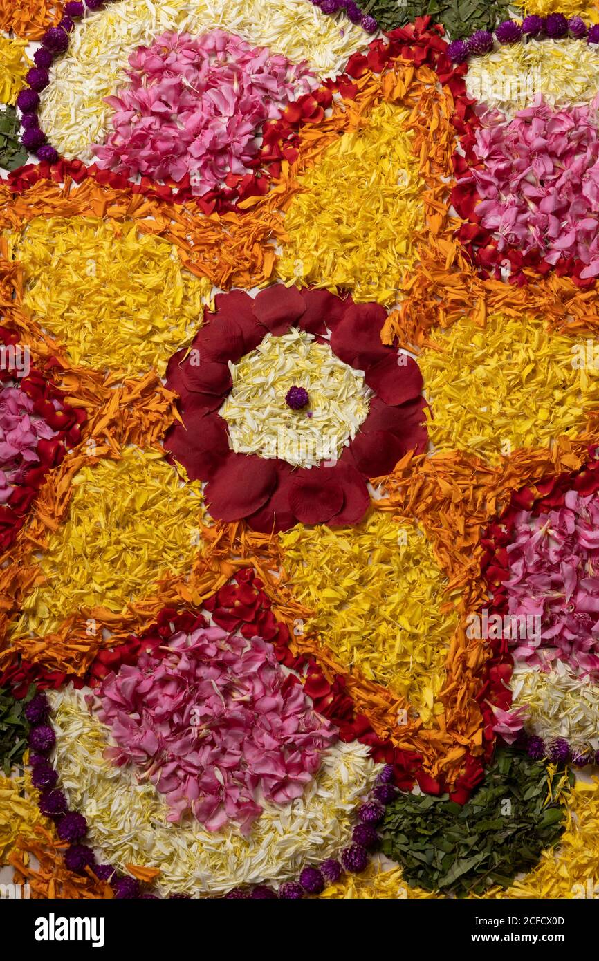 Jamanthi poovu hi-res stock photography and images - Alamy