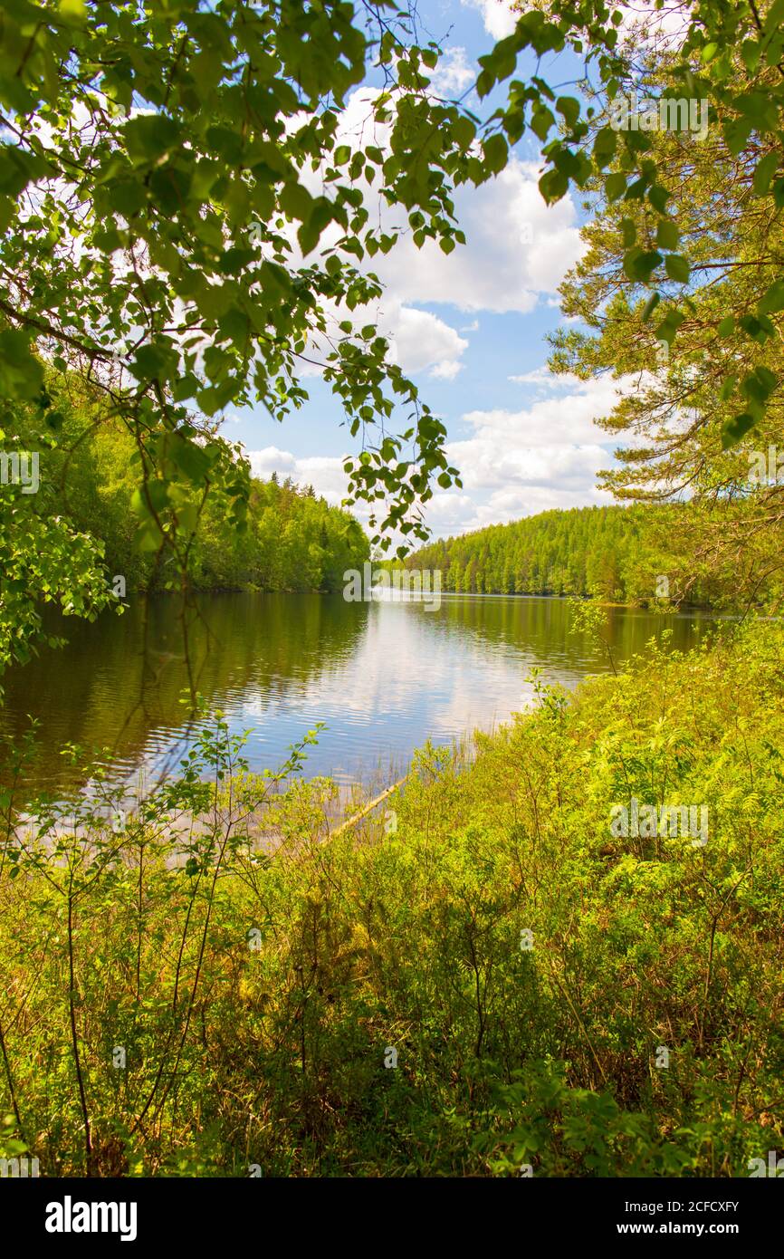 Lake Landscape, Summer scenic, Finland Stock Photo - Alamy