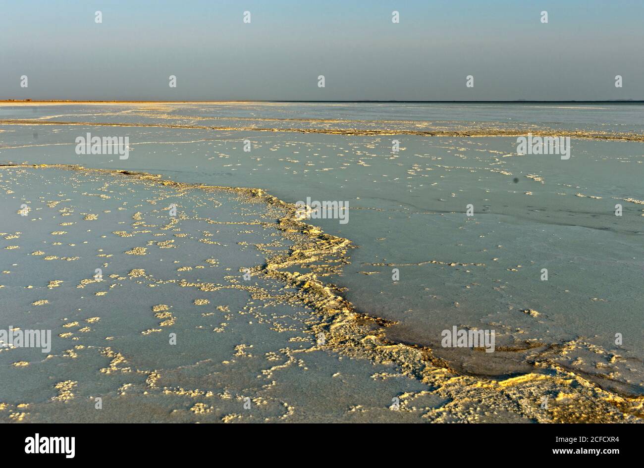Crust of rock salt on the Assale Salt Lake, Lake Assale, located 100m ...
