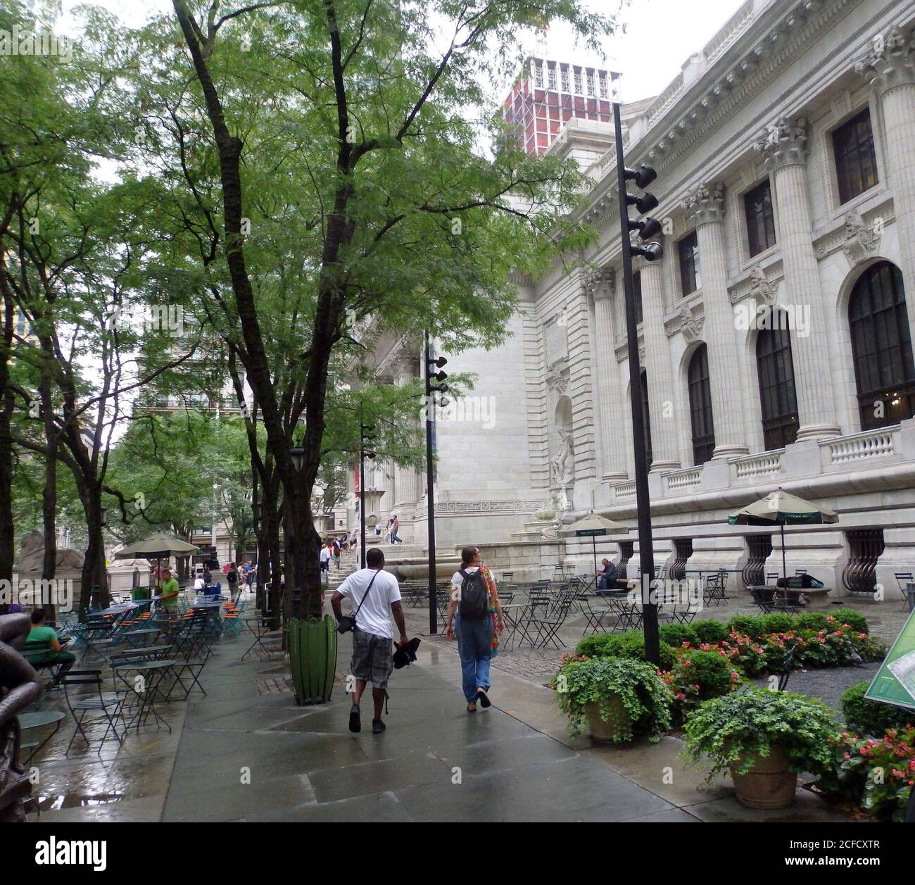 The New York City Public Library building surrounded by green plants ...