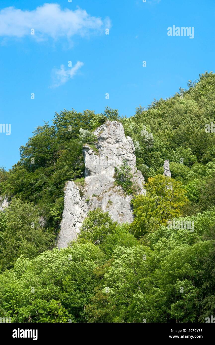 Magental hi-res stock photography and images - Alamy