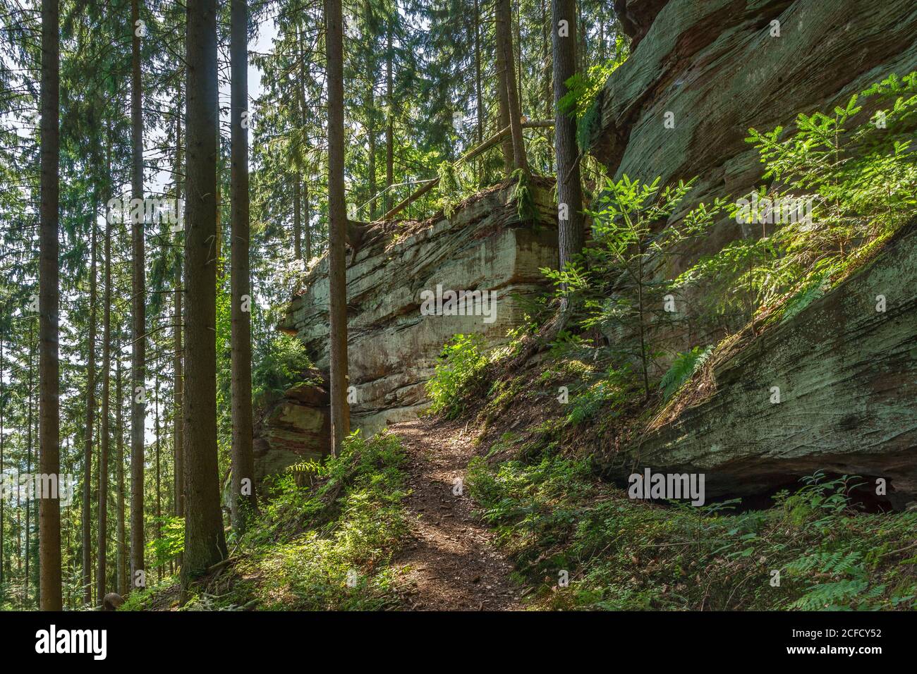 Mottled rocks hi-res stock photography and images - Alamy