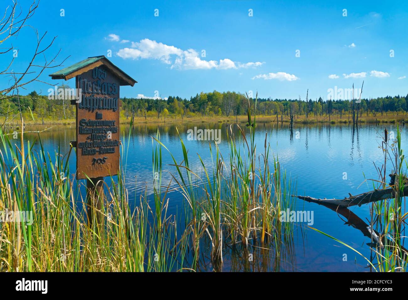 Schwenninger moos nature reserve hi-res stock photography and images ... Schwenninger moos nature reserve hi-res stock photography and images ...