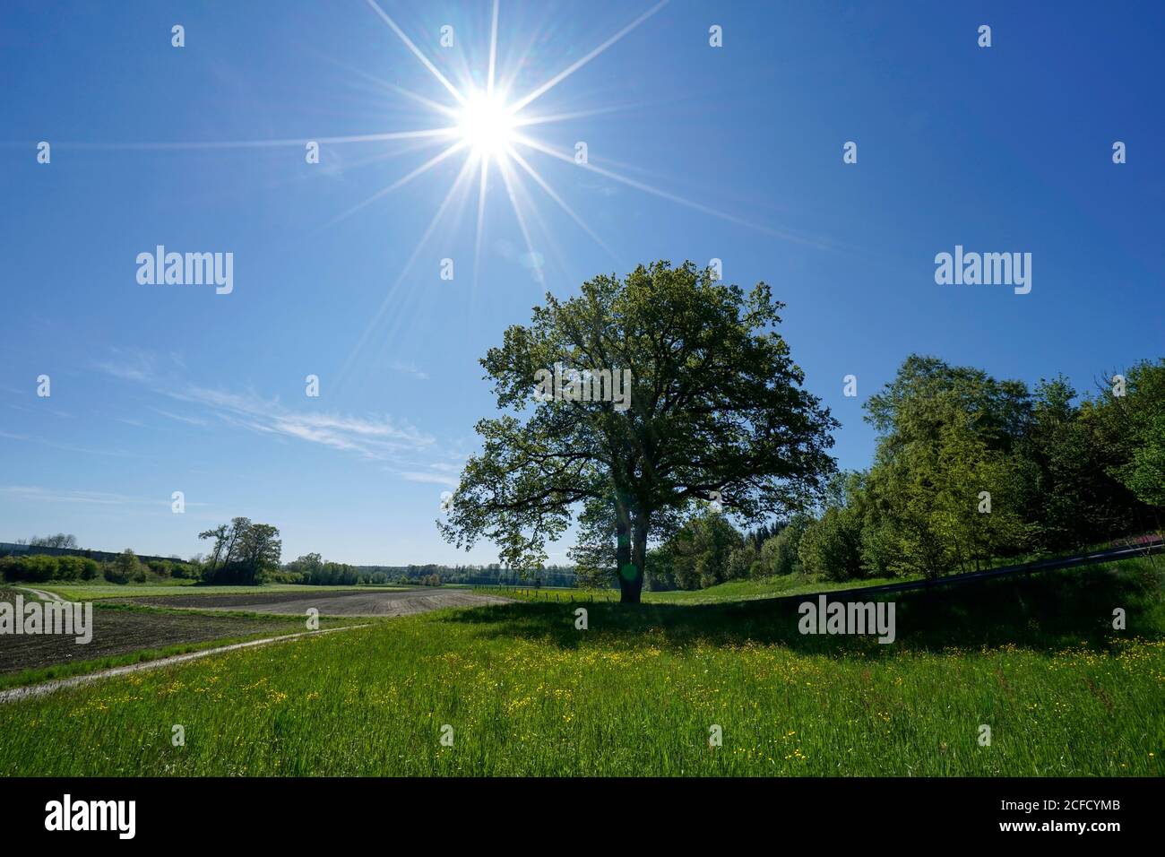 Altotting land district hi-res stock photography and images - Alamy