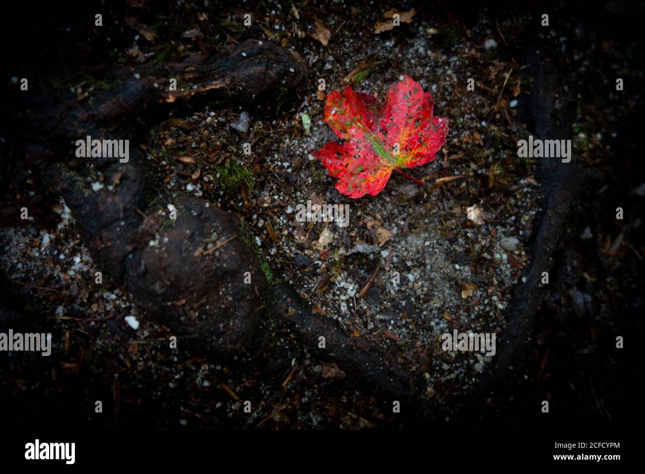 Dark textured floor under soft hi-res stock photography and images - Alamy
