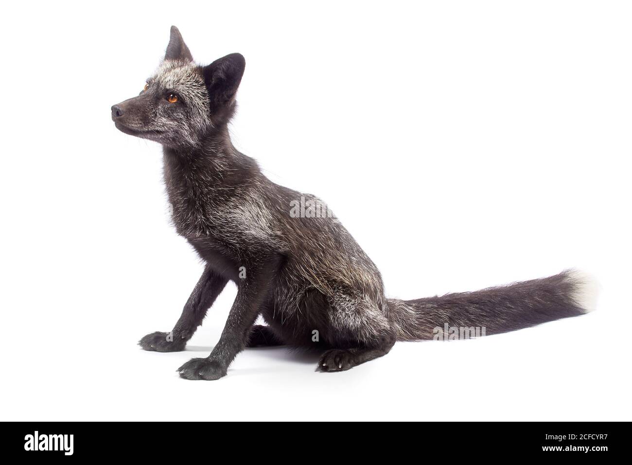 Crafty background Cut Out Stock Images & Pictures - Alamy