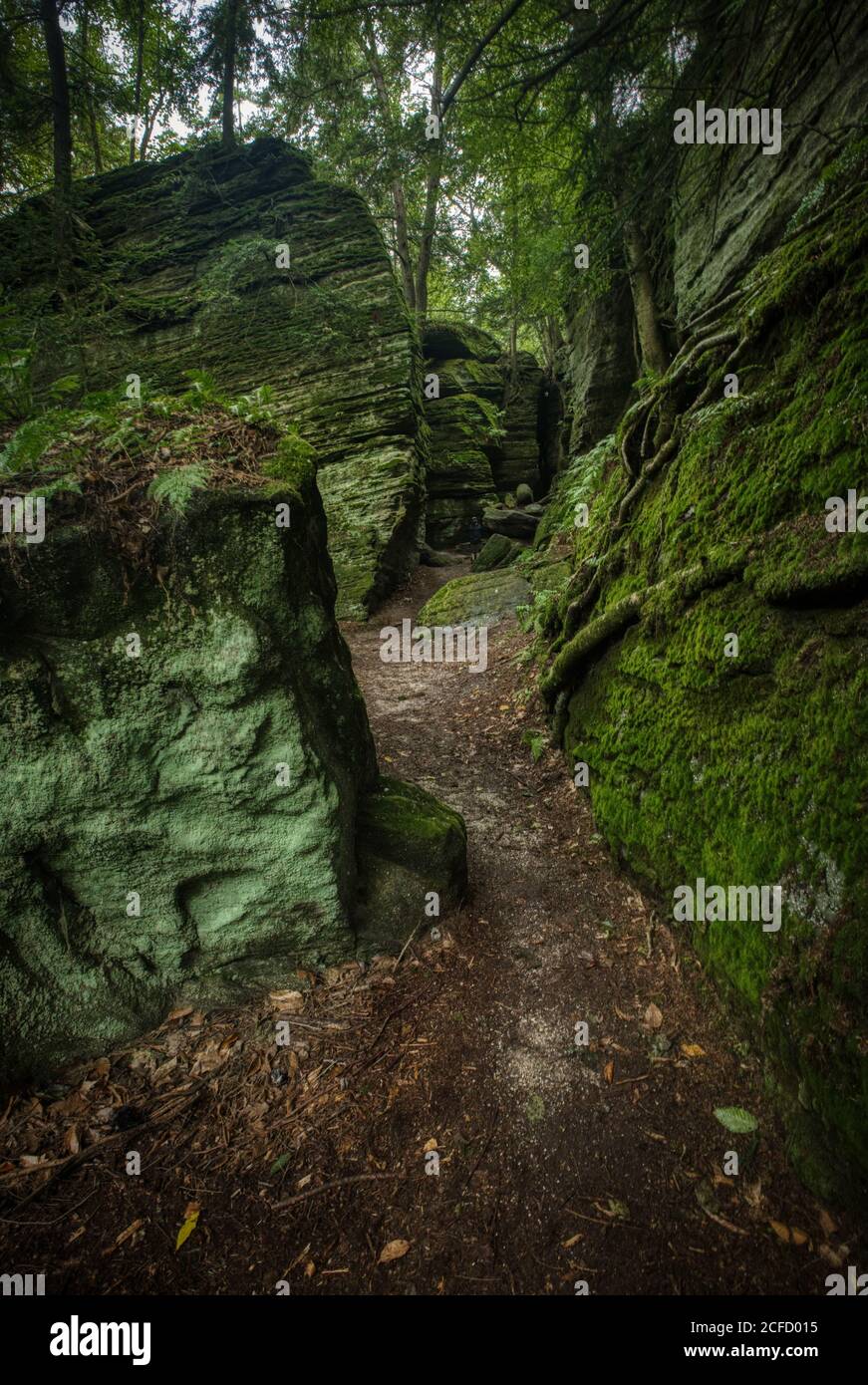 Panama Rocks Scenic Park, Chautauqua County, New York, USA - an ancient ...