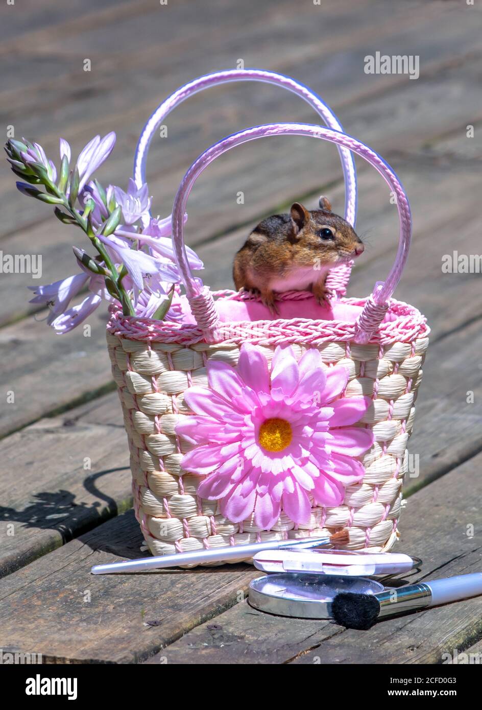 Bag Of Brushes High Resolution Stock Photography and Images - Alamy