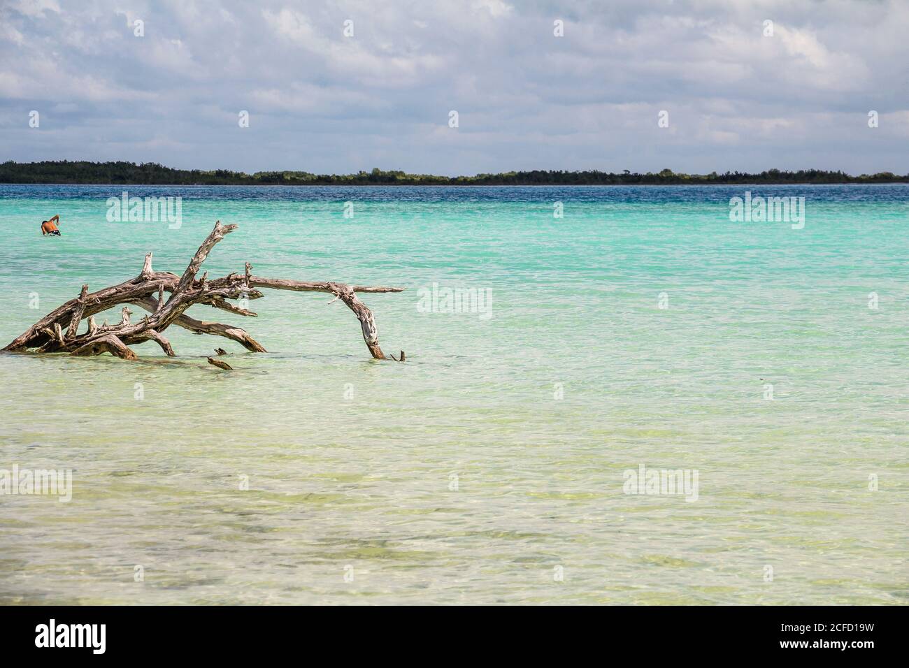 Shallow water at the lagoon of 7 colors in Bacalar, Quintana Roo ...