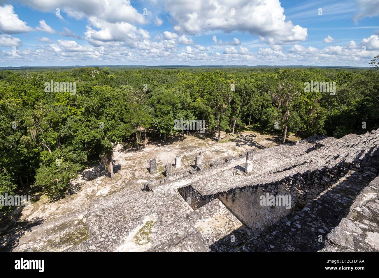 Jungle view from Calakmul temple grounds, Yucatan Peninsula, Mexico ...